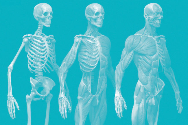 sante-formation, auteur sur Santé Formation